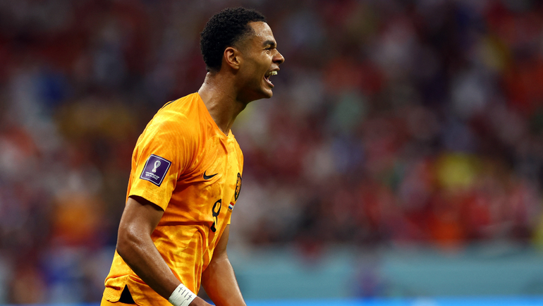 Коди Гакпо вошёл в число лучших бомбардиров ЧМ-2022. Выиграет «Золотую ...